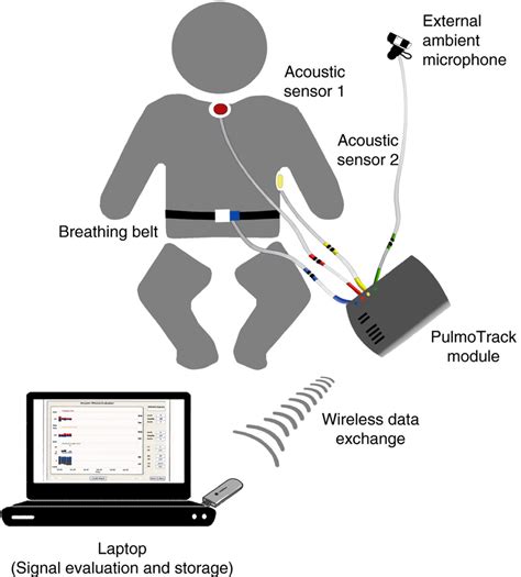 measuring principle of the computerized lung sound analysis in neonates download scientific
