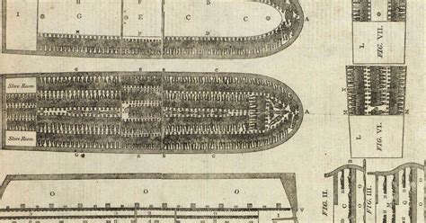 How Transatlantic Slave Trade Shaped Epidemiology Today Bunk