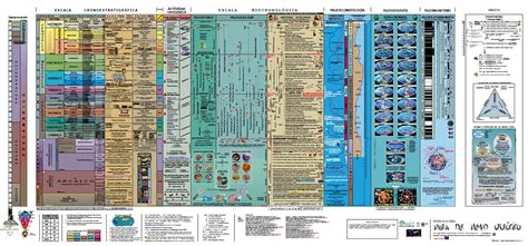 Escala De Tiempo Geológico Ciencias De La Tierra