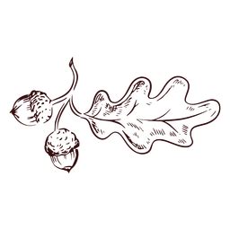 Dise O Png Y Svg De Bellotas Rama Bellotas Dibujadas A Mano Para Camisetas