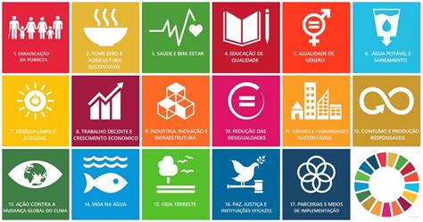 Objetivos de Desenvolvimento Sustentável ODS da ONU tudo o que você