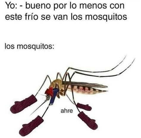 Yo Bueno Por Lo Menos Con Este Fr O Se Van Los Mosquitos Los