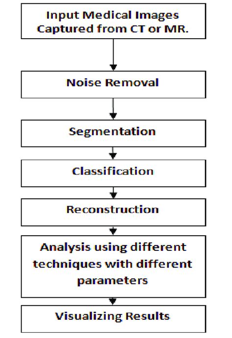 steps in medical image processing ii segmentation techniques a download scientific diagram