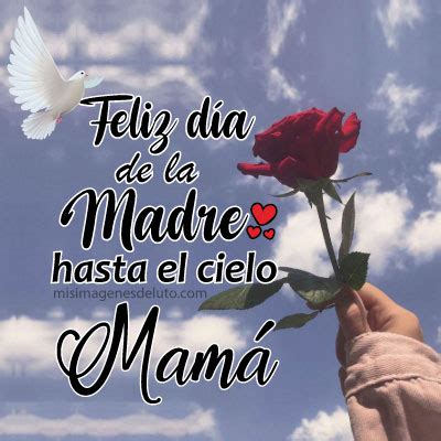 Im Genes Feliz D A A Todas Las Madres Que Est N En El Cielo