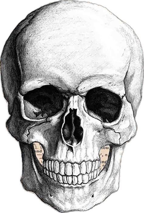 Free Halloween Dictionary Page Printables Rose Clearfield Bosquejo