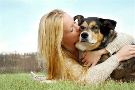D Couvrez Ces Races De Chien Qui Aiment Beaucoup Les C Lins Et Les
