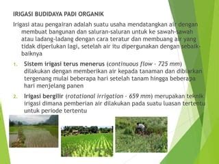 Budidaya Padi Organik Ppt