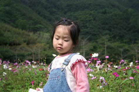Img Carolchang Flickr