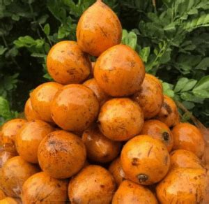 Agbalumo African Star Apple Udara Alasa 6 Pieces Stermart