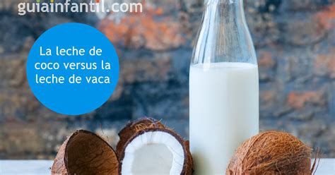 Tomar Leche De Coco Engorda Mito O Realidad Todo Engorda