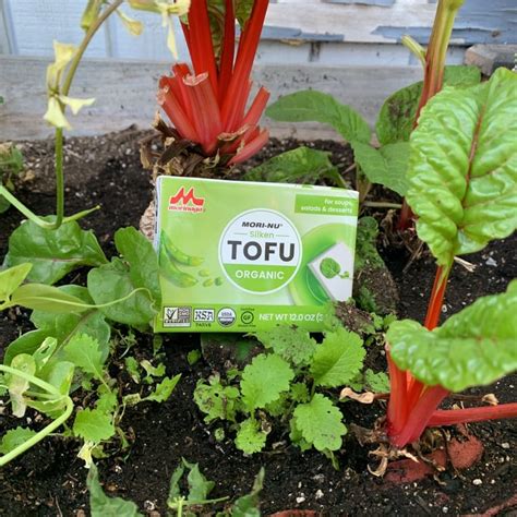 Mori Nu Silken Organic Tofu Review Abillion