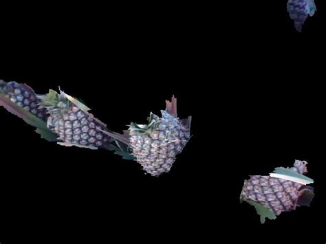 9 Pineapple Fruit Detection Detection And Precise Segmentation Using