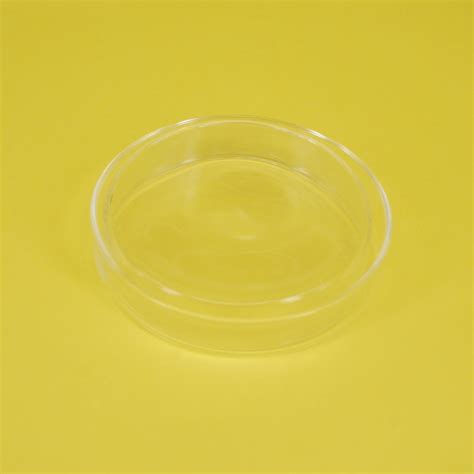 60 200mm Borosilicate Glass Petri Culture Dish With Lids For Lab