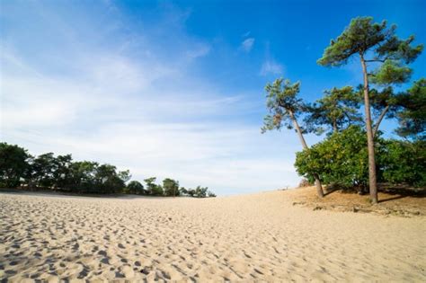 12x De Mooiste Plekken In Nederland Holidayguru Nl