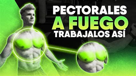 RUTINA PERFECTA Para PECTORALES Ejercicios Y CLAVES YouTube