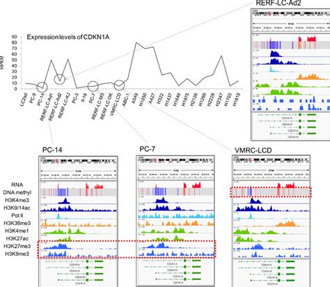 Integrative Analysis Of Multi Omics Data Transcriptomic And Epigenomic