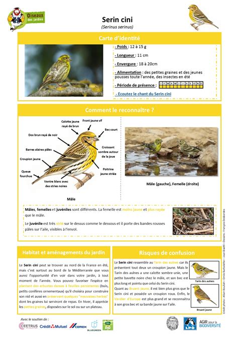 Toutes Les Fiches Esp Ces Oiseauxdesjardins Fr