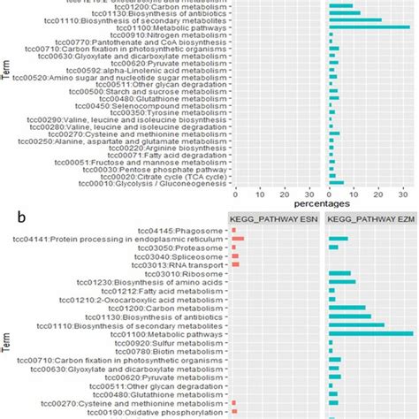 Enrichment Of Differentially Expressed Protein Domains By The KEGG