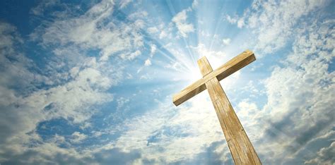 Ide Por Todo O Mundo E Pregai O Evangelho A Toda Criatura Mc 16 15