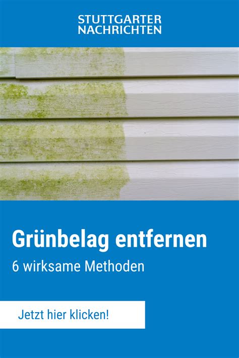 Grünbelag entsteht vor allem an schattigen und feuchten Plätzen auf den