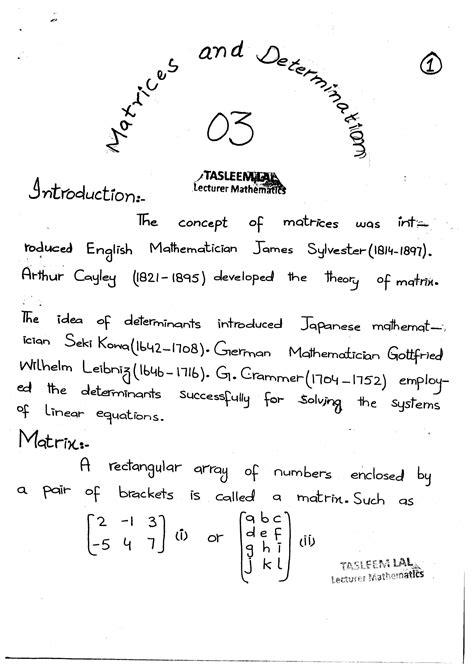 solution concept of matrices and determination for class intermediate introduction to
