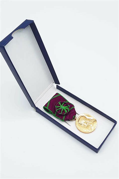 Médaille dhonneur de la Protection Judiciaire de la Jeunesse Or