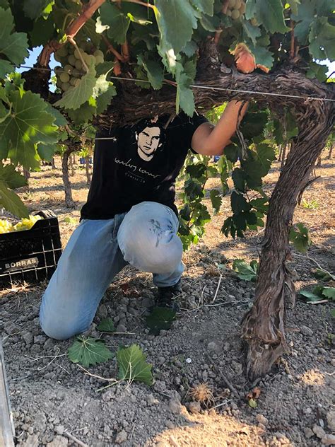 Visita de la Fundación Savia Bodegas Robles