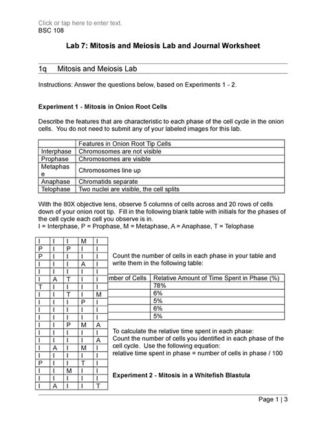 Bsc Lab Mitosis And Meiosis Lab And Journal Worksheet Click Or