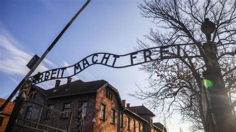 Liberación de Auschwitz cómo este campo de concentración se convirtió