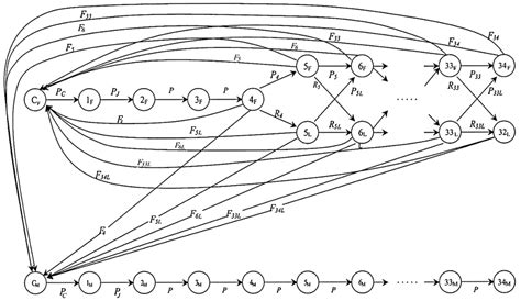 life cycle graph for the age sex and stage structured model of a download scientific diagram