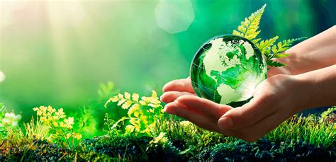 Maneiras de fazer que sua empresa seja mais sustentável