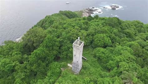 Fatos Sobre A Ilha Da Queimada Grande Maior Lar De Cobras Do Mundo