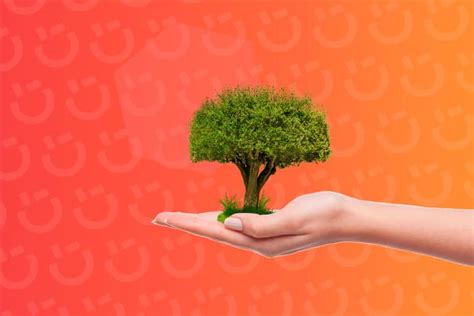 RSE au sein des TPE PME définition enjeux mise en place