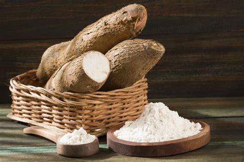 Yuca propiedades y beneficios del tubérculo y cómo utilizar el
