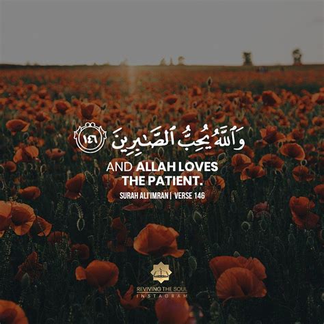 Surah Luqman Ayat 18 Cameron Kelly