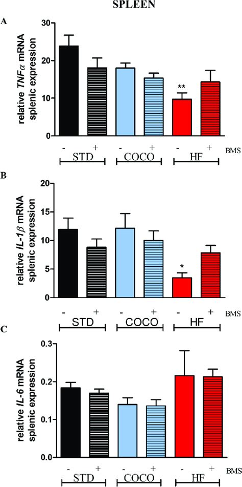 Relative mRNA expression of TNFα A IL 1β B and IL 6 C in mouse