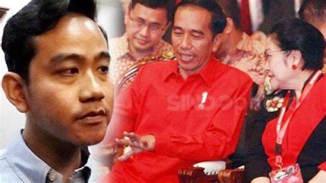 Sentilan Gibran Ke Hasto Yang Beri Syarat Pertemuan Jokowi Dan Megawati
