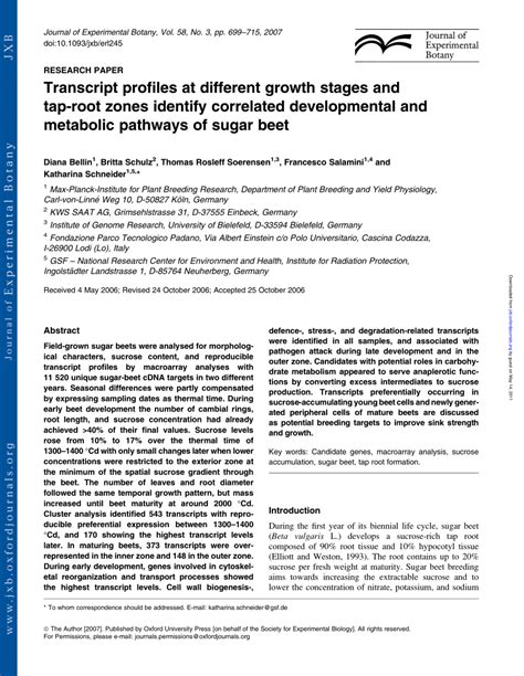 pdf transcript profiles at different growth stages and tap root zones hot sex picture