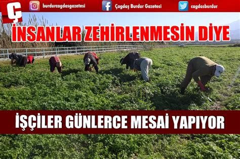 İNSANLAR ZEHİRLENMESİN DİYE İŞÇİLER MESAİ YAPIYOR Burdur Haber Son