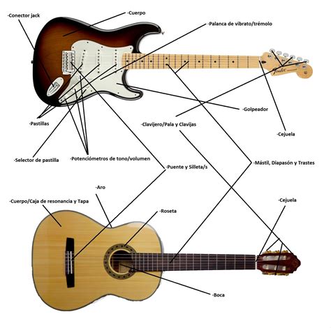 Las Partes De La Guitarra Clases Guitarra Valencia