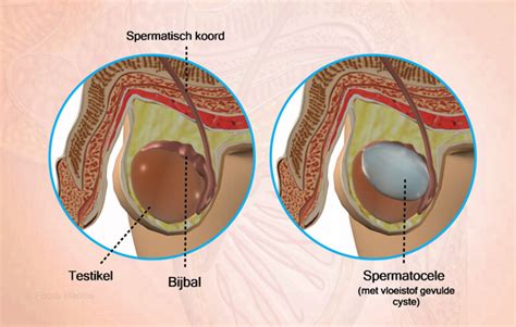 Health Condition Symptoms Causes Treatment And More