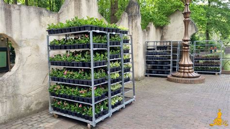 Eftelwesley On Twitter Nieuwe Bloemen Staan Klaar En Een