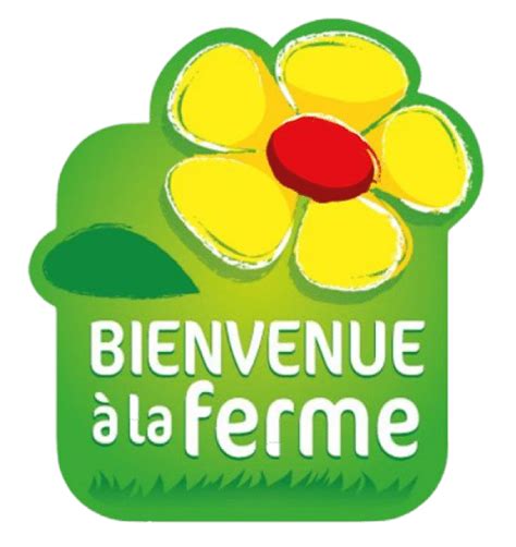 Recette de Terrine de tiramisu au café et poire Gastronomie Hauts de