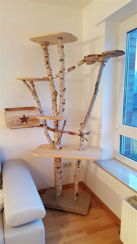 Kratzbaum F R Katzen Aus Birke Kratzbaum Katze Kratzbaum Kratzbaum