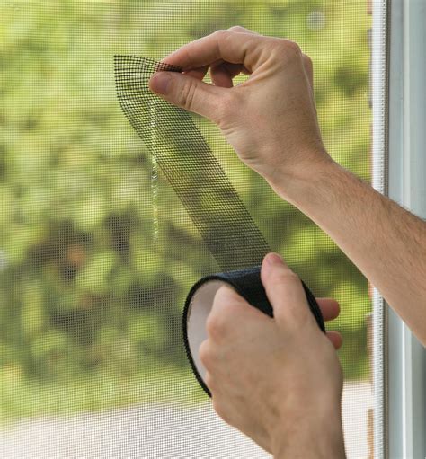 Window Screen Repair