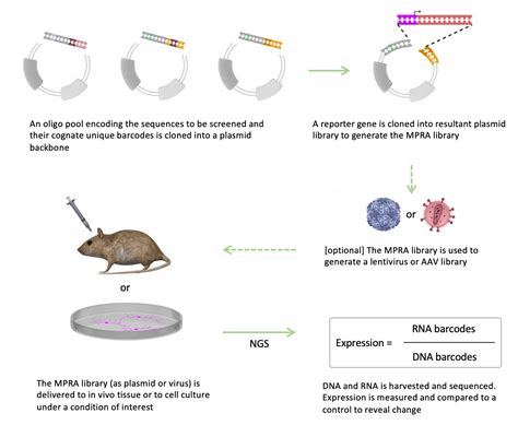 Massively Parallel Reporter Assays For Complex Disease Twist Bioscience