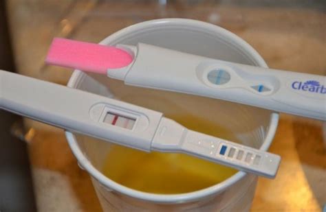 El Test De Embarazo Todo Lo Que Necesitas Saber Padres