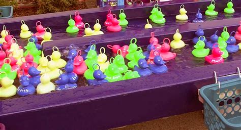 Pêche au canard Light Animation