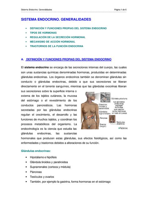 Lectura Generalidades Del Sistema Endocrino Sistema Endocrino