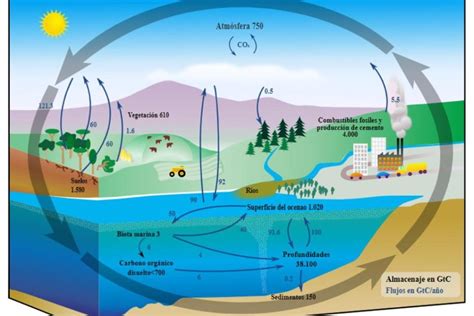 La teoría del ciclo del carbono y la biogeoquímica planetaria